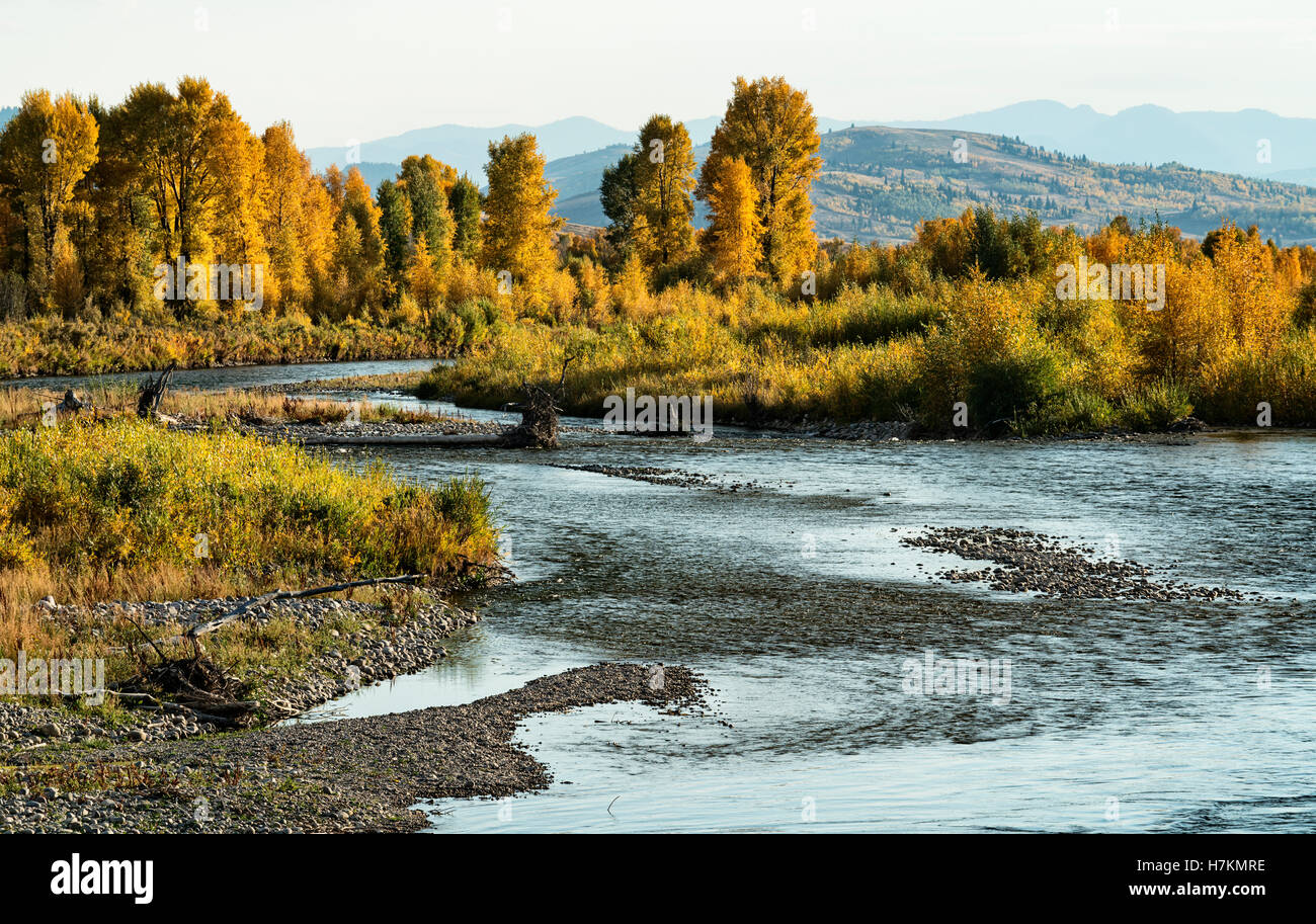 River with fall colored trees Stock Photo - Alamy