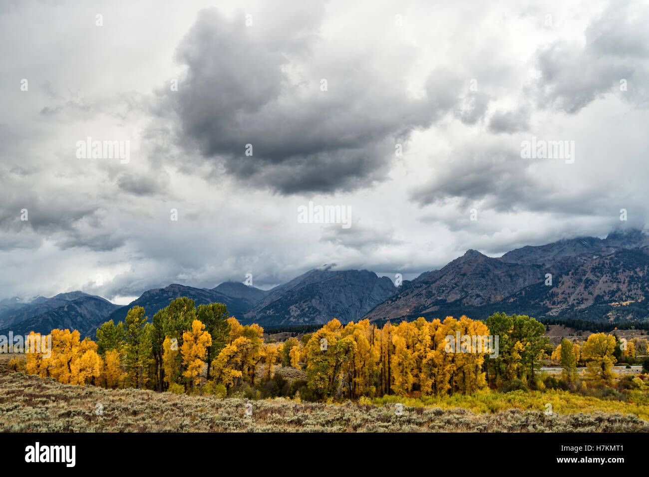 Fall Color and storm clouds Stock Photo - Alamy