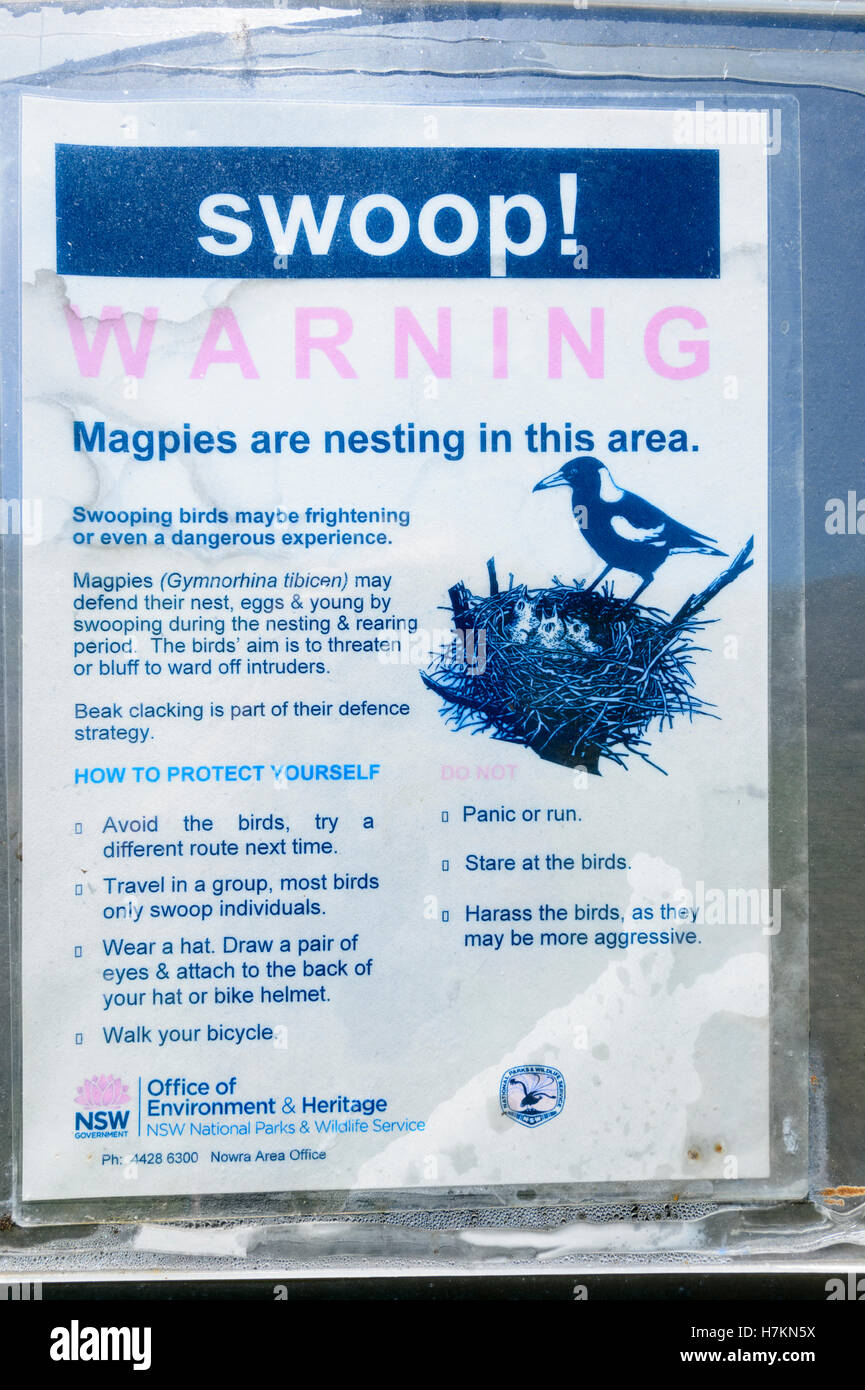 Danger swooping birds hi-res stock photography and images - Alamy