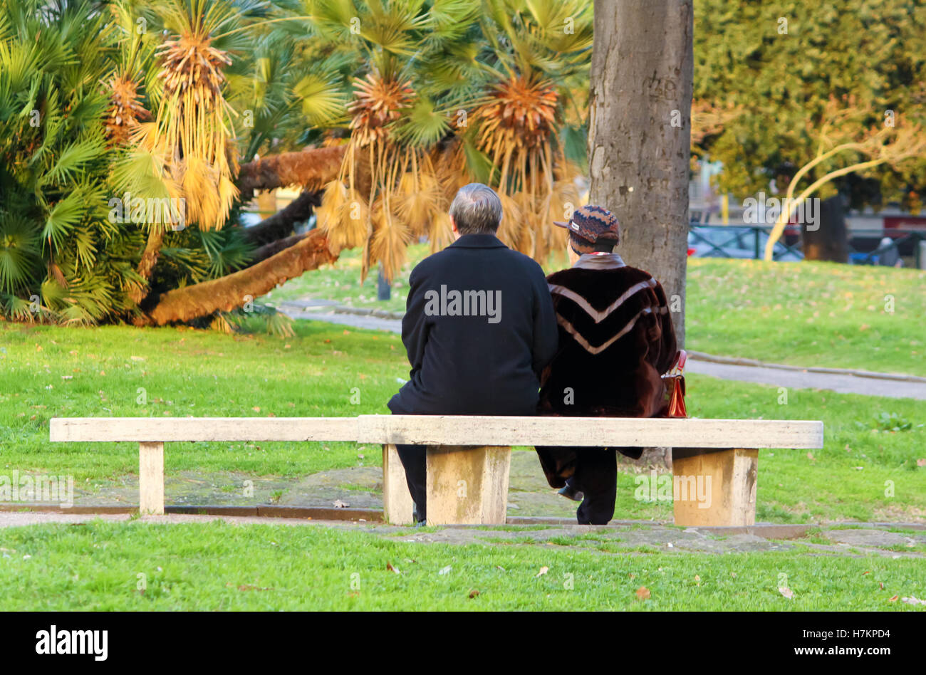 Park Bench Behind High Resolution Stock Photography and Images - Alamy