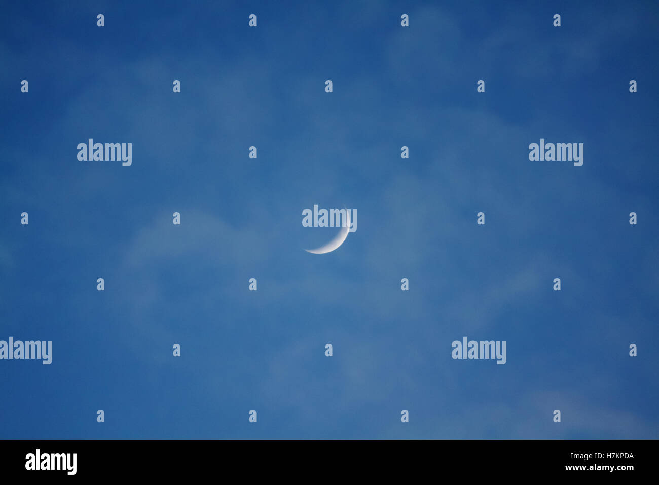 Moon Quarter in the afternoon light Stock Photo - Alamy