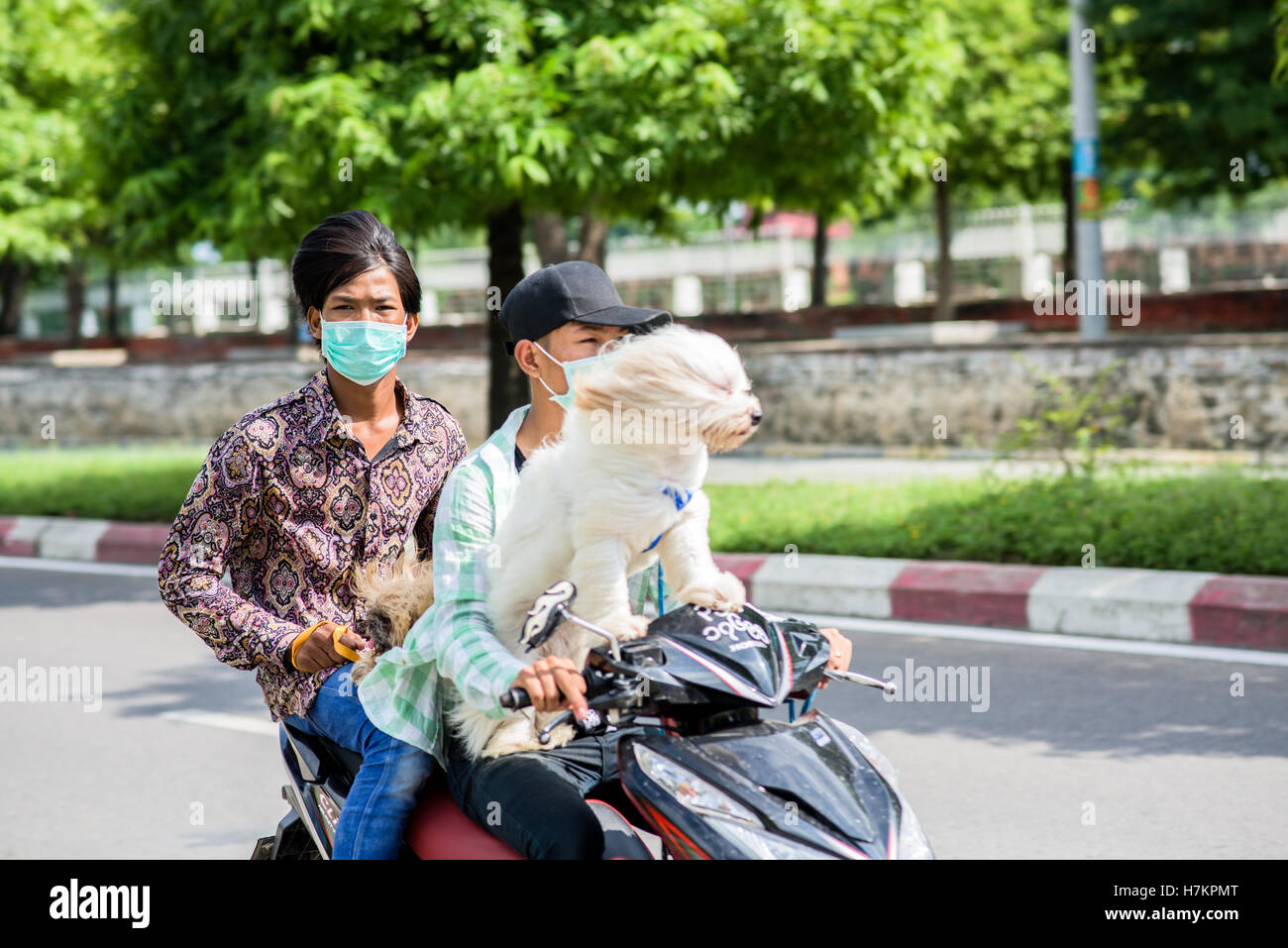 Ride on motorcycle hi-res stock photography and images - Alamy