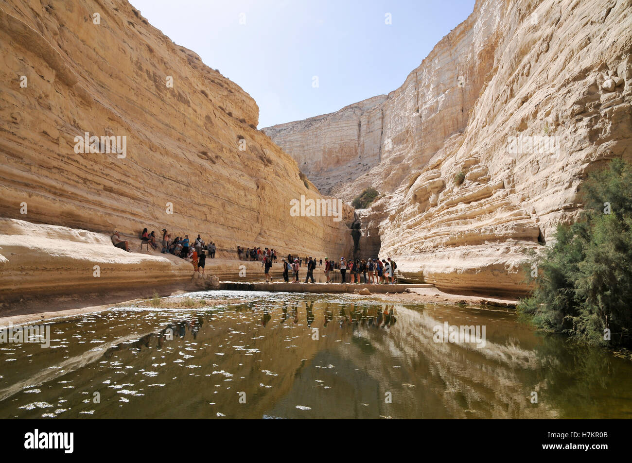 Desert spring water hi-res stock photography and images - Alamy