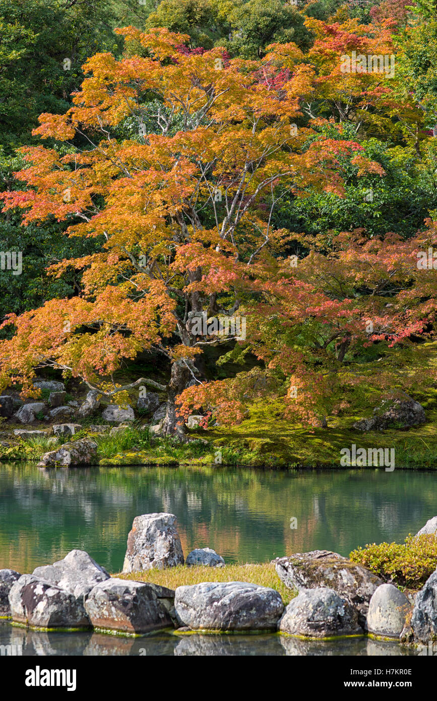 Tenryu-Ji Temple in Kyoto, Japan Stock Photo - Alamy