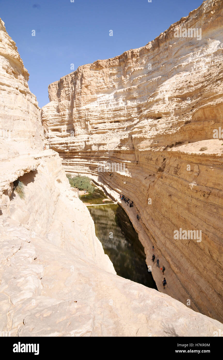 Ein Avdat, sweet water spring in the negev desert, israel near Kibbutz ...