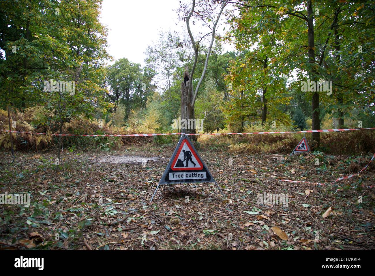 Tree cutting warning sign hi-res stock photography and images - Alamy