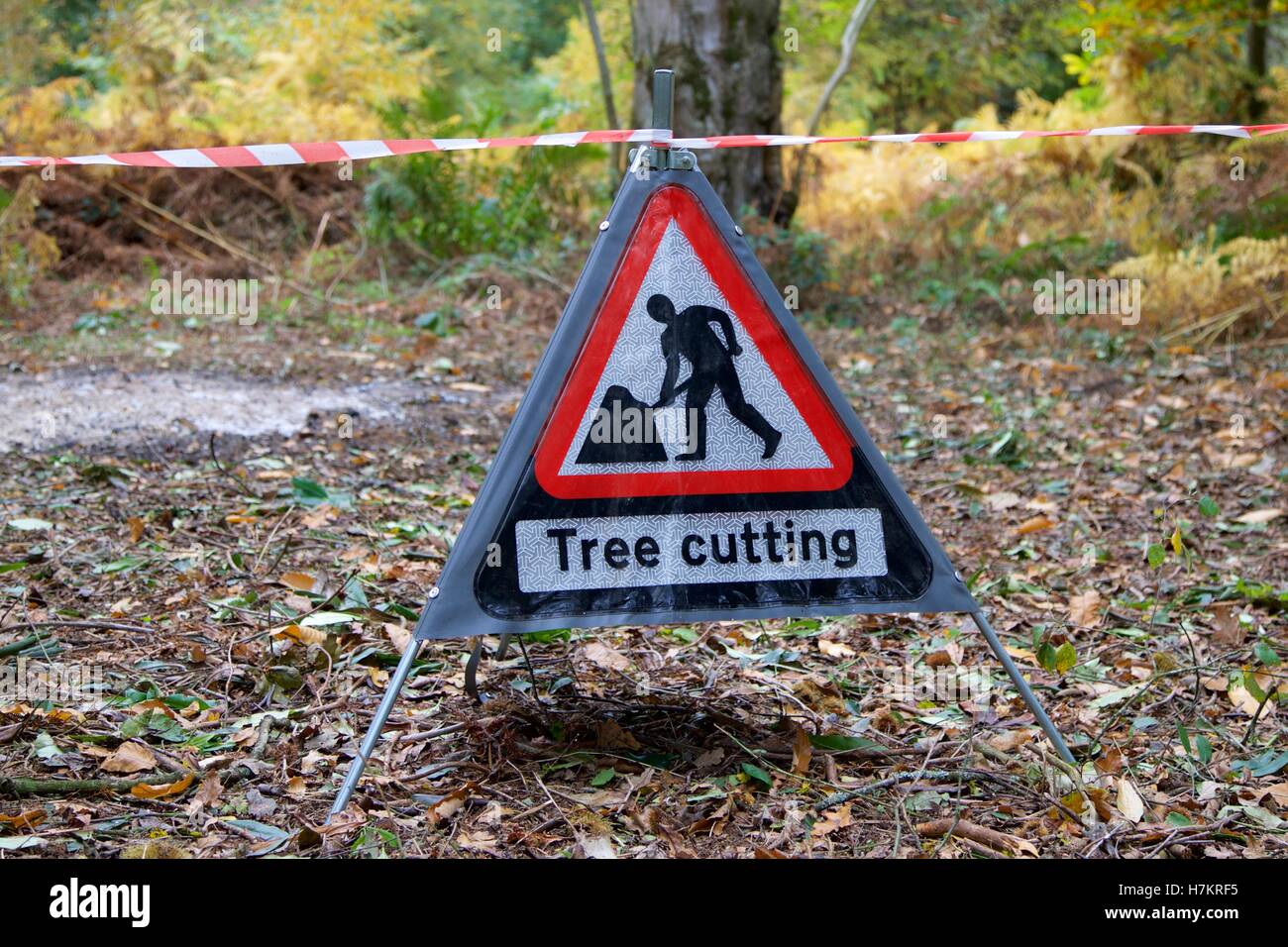 Tree cutting warning sign hi-res stock photography and images - Alamy