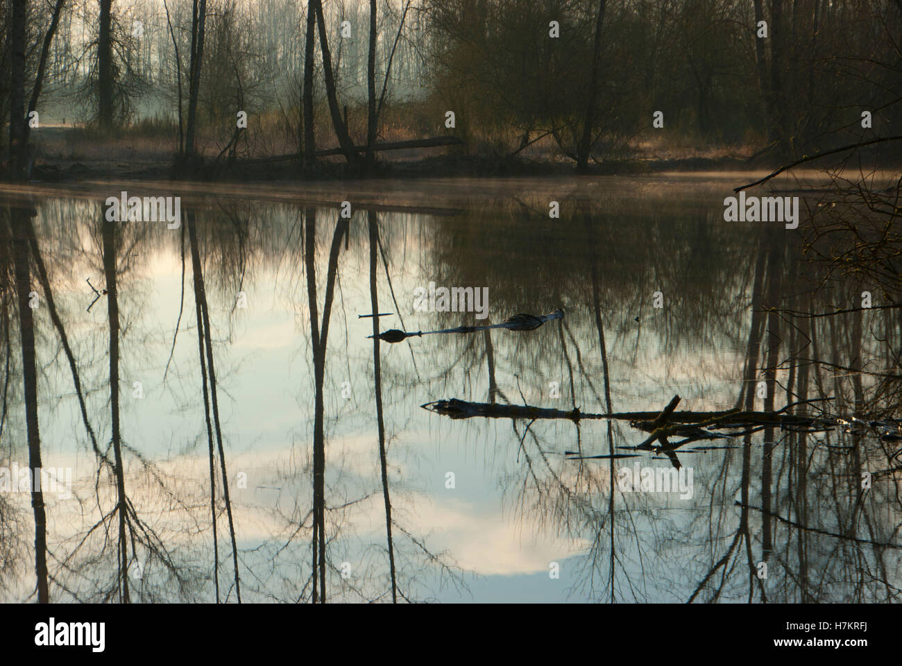 St louis ponds hi-res stock photography and images - Alamy