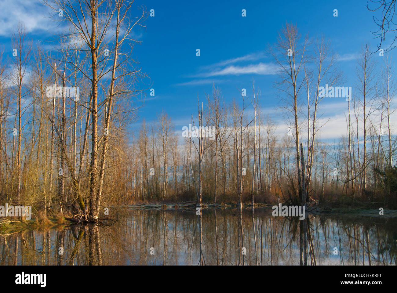 St louis ponds hi-res stock photography and images - Alamy