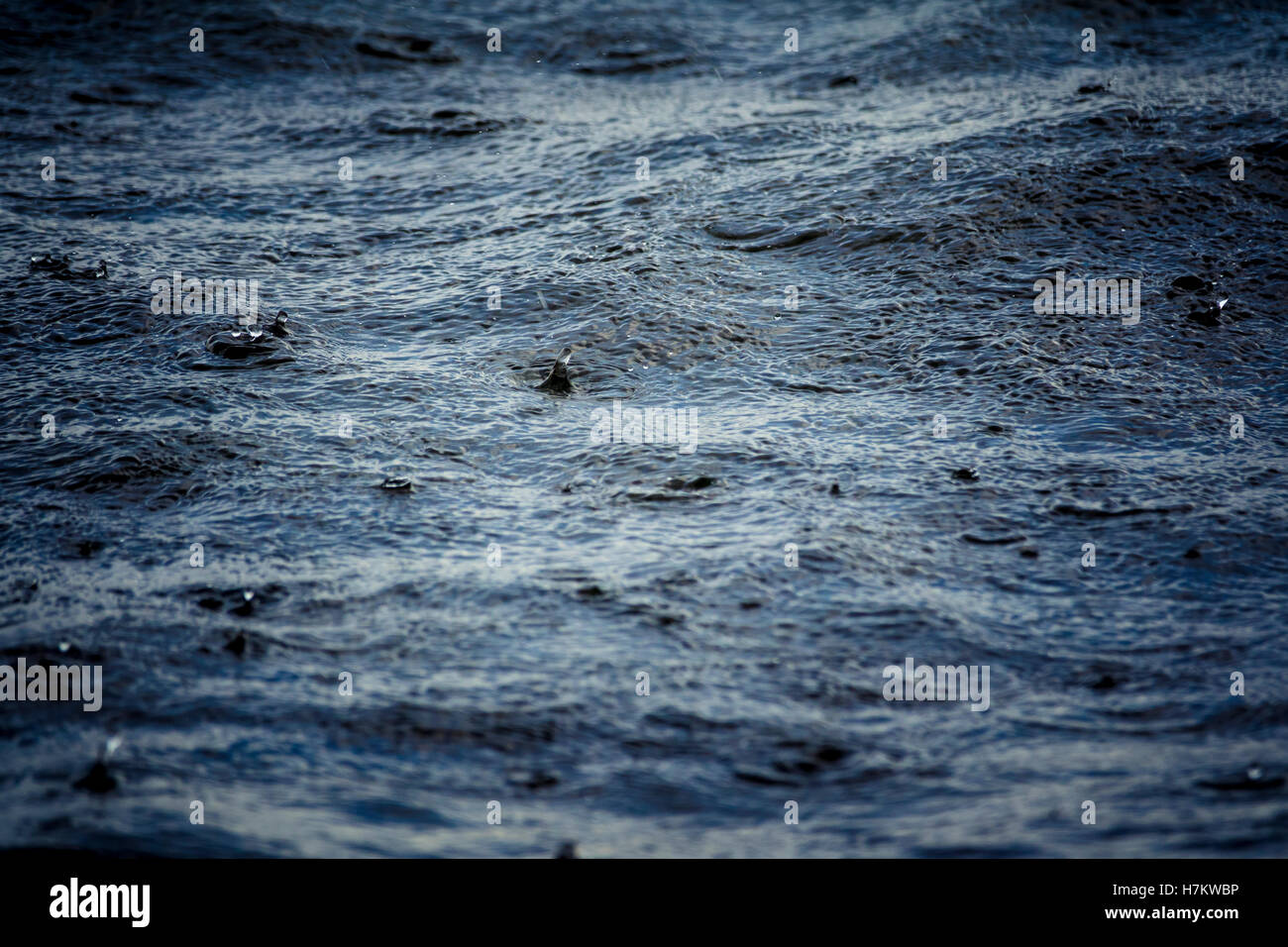Rain falling on water surface. Close up of stormy sea with raindrops ...