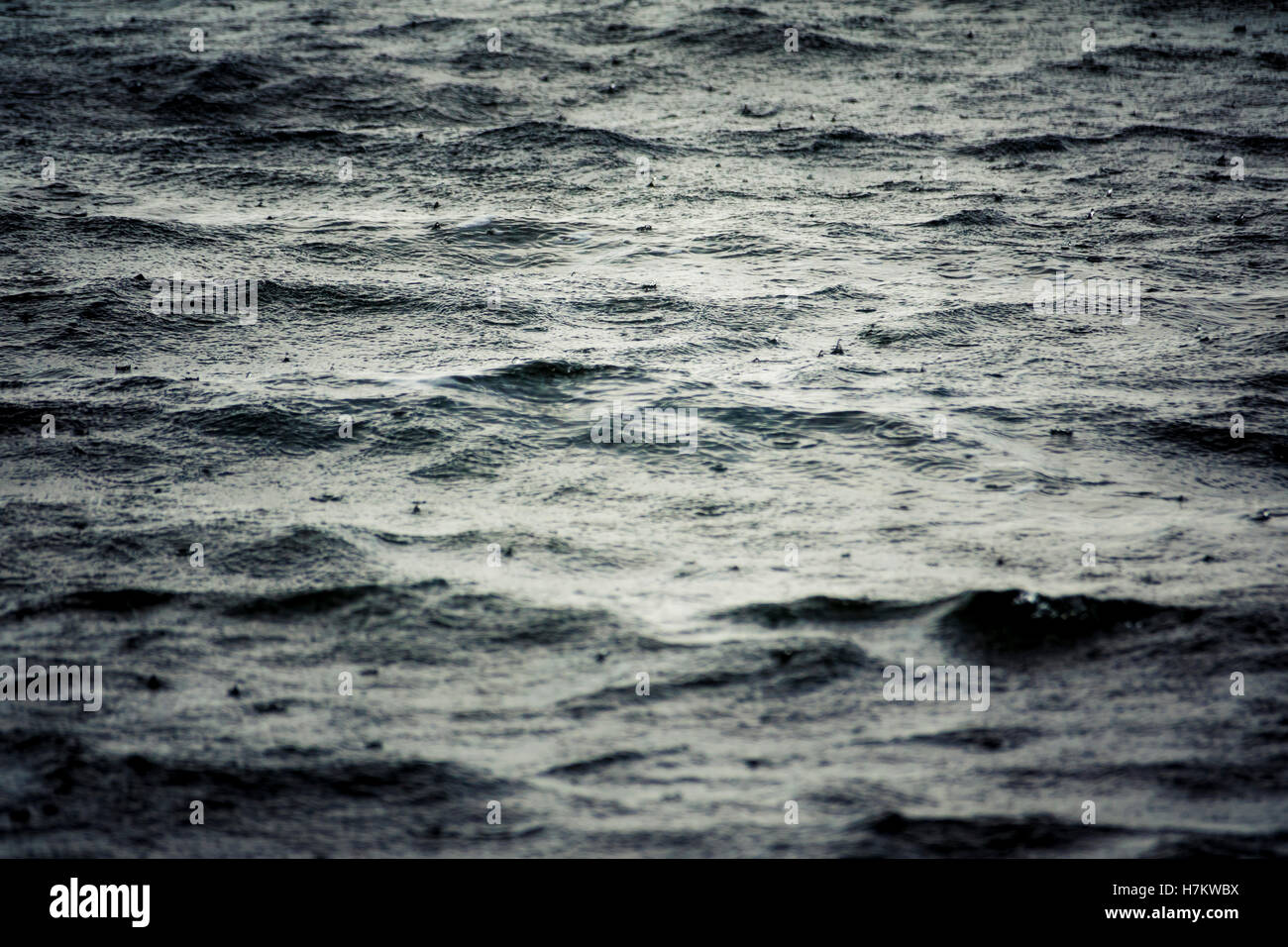 Rain falling on water surface. Close up of stormy sea with raindrops ...