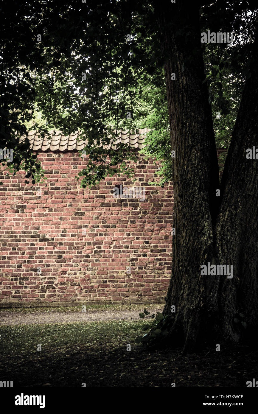 Red brick wall and old tree in empty park. Tranquil and calm ...