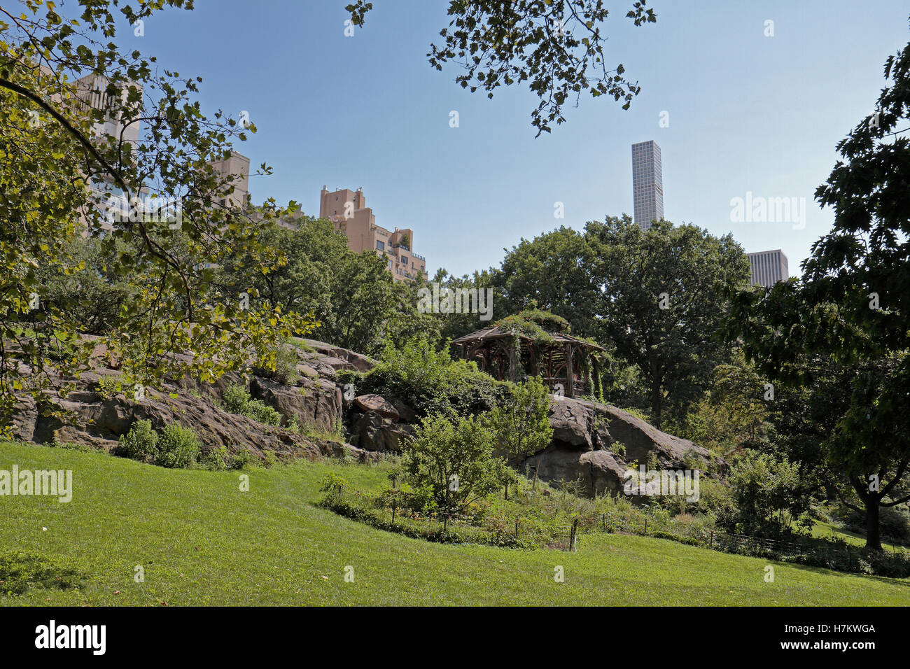 Looking up towards A Treehouse For Dreaming in Central Park, Manhattan ...