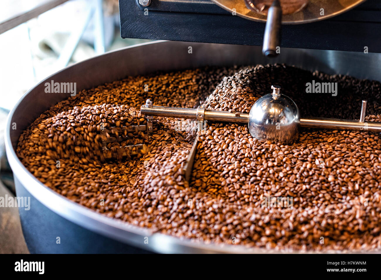 Freshly roasted coffee beans from a large roaster in the cooling ...