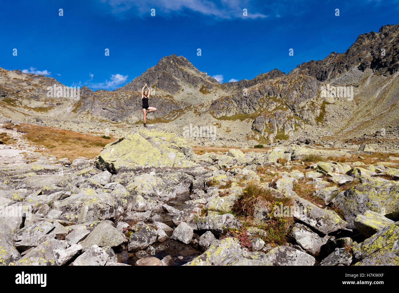 Yoga exercising in Tatry mountains Vriksha-asana - tree pose. Tourist ...