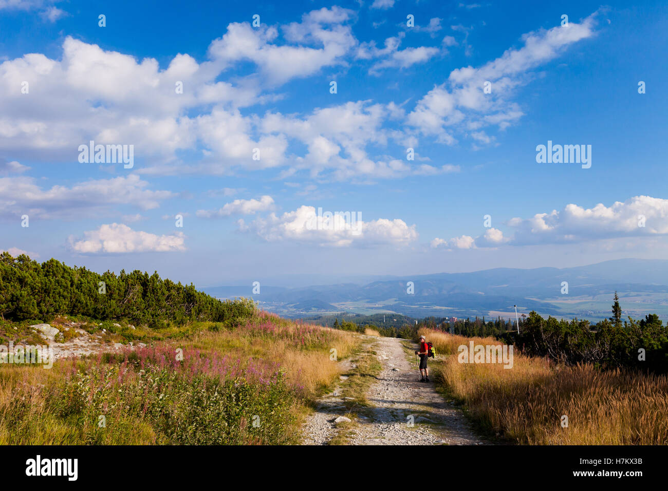 Tourist in Beautiful Furkotska dolina on the way to Bystre sedlo - in ...