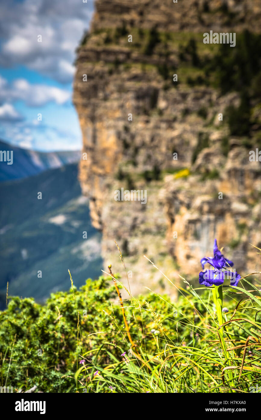 Mountains in the Pyrenees, Ordesa Valley National Park, Aragon, Huesca ...