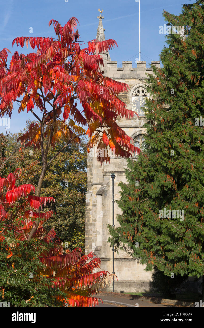 St. Michael's Church is an Anglican parish church in Basingstoke ...