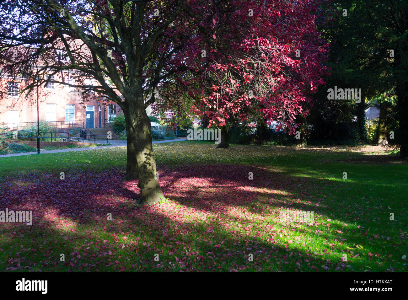 The glebe gardens hi-res stock photography and images - Alamy