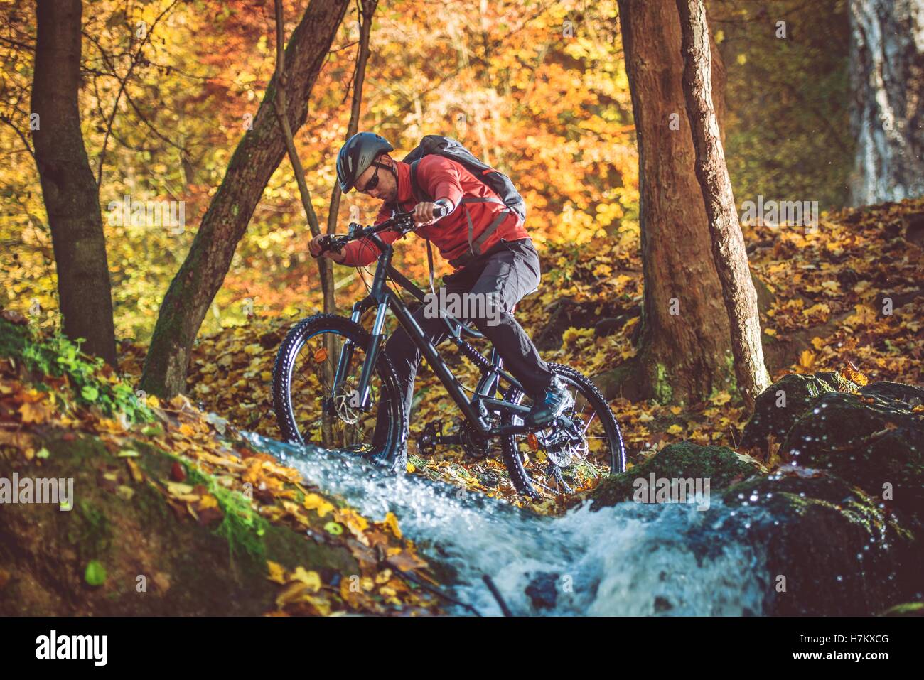 All Year Long Active Mountain Biker. Fall Foliage Landscape. Bike Ride ...