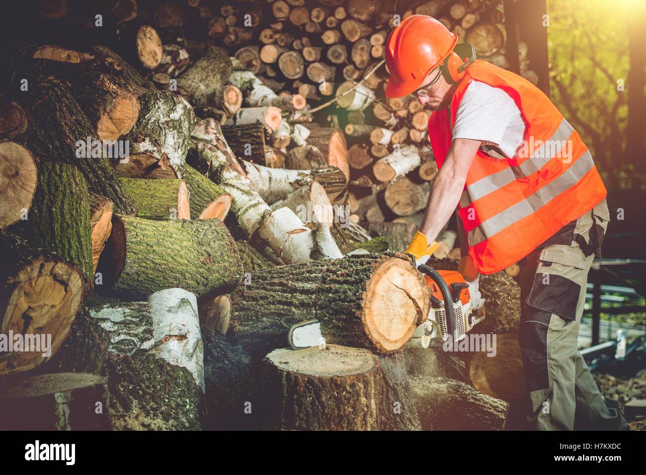 Firewood Logs Preparing. Cutting Wood Logs For Hard Winter Season Stock ...