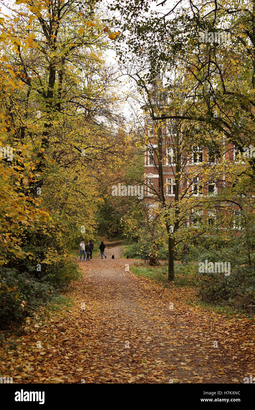 Hampstead Heath in Autumn Stock Photo - Alamy