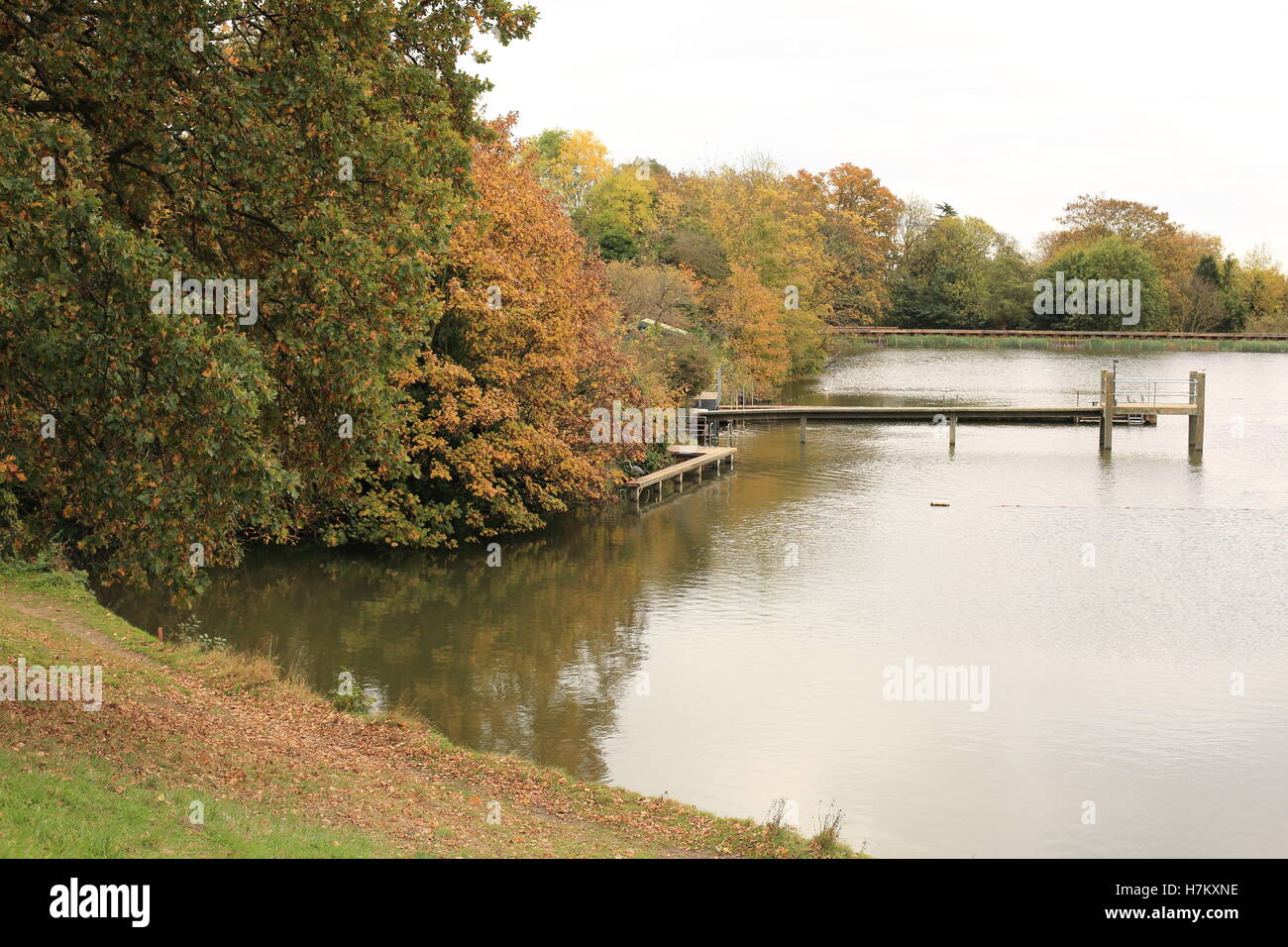 Hampstead Heath in Autumn Stock Photo - Alamy