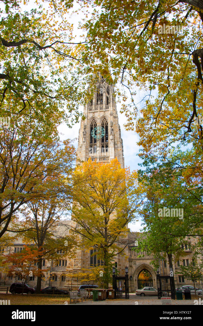 Yale university door hi-res stock photography and images - Alamy
