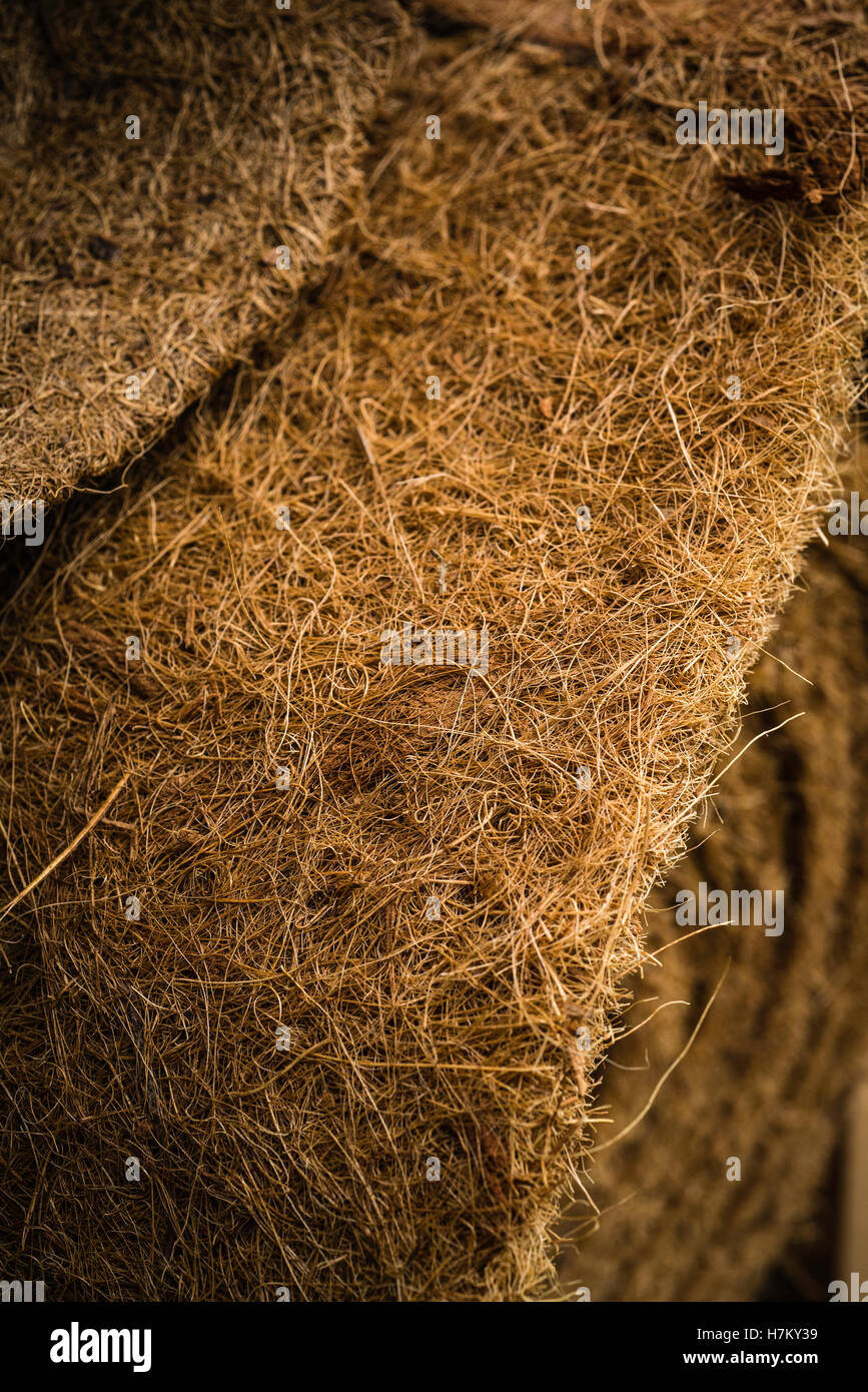 Straw bale texture hi-res stock photography and images - Alamy