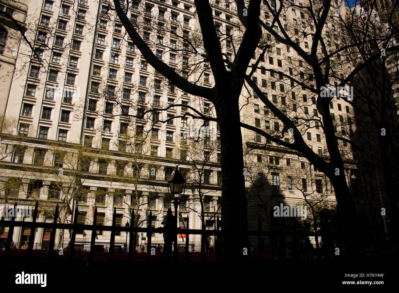 Trees shadow on a building in New York City Stock Photo - Alamy