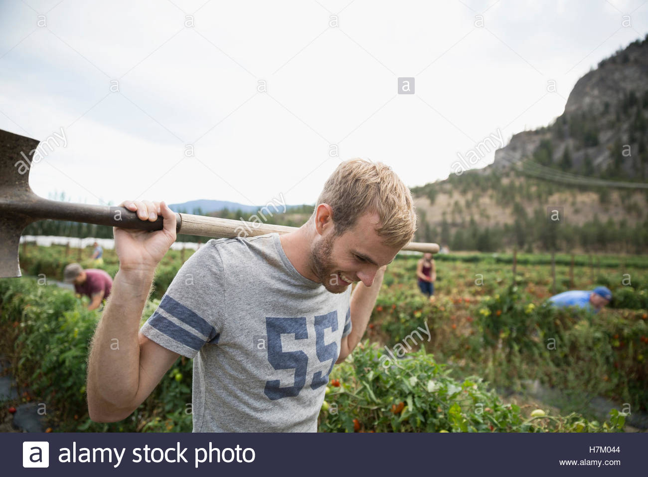 Field crop farm worker hi-res stock photography and images - Alamy