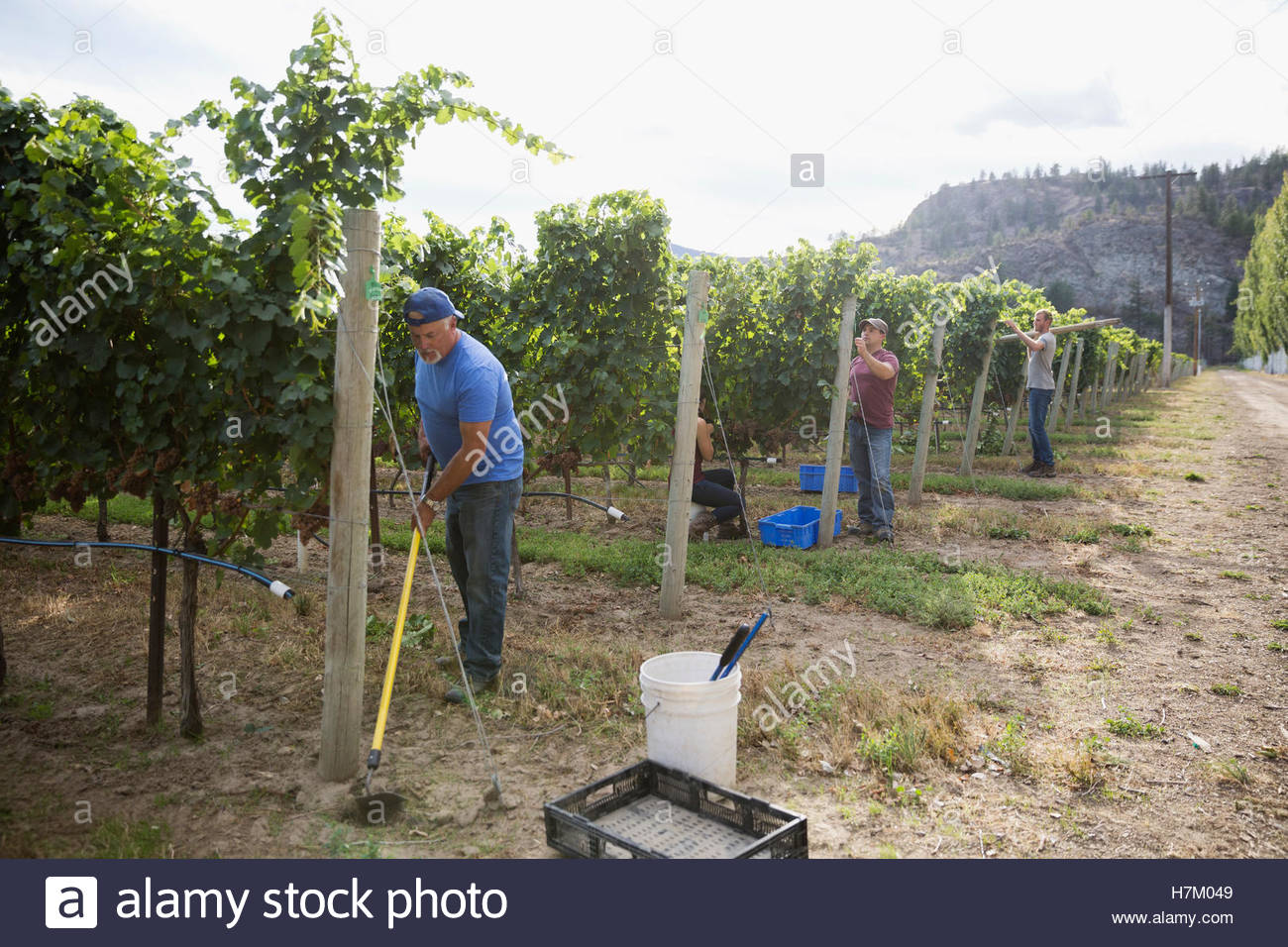 Four men digging hi-res stock photography and images - Alamy