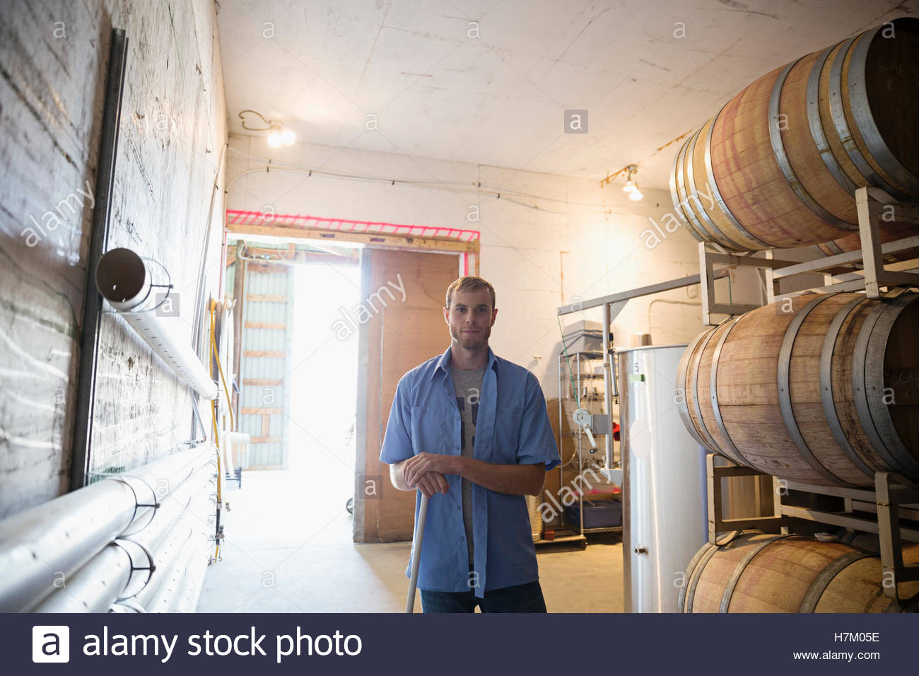Portrait confident male vintner in winery barrel room Stock Photo - Alamy