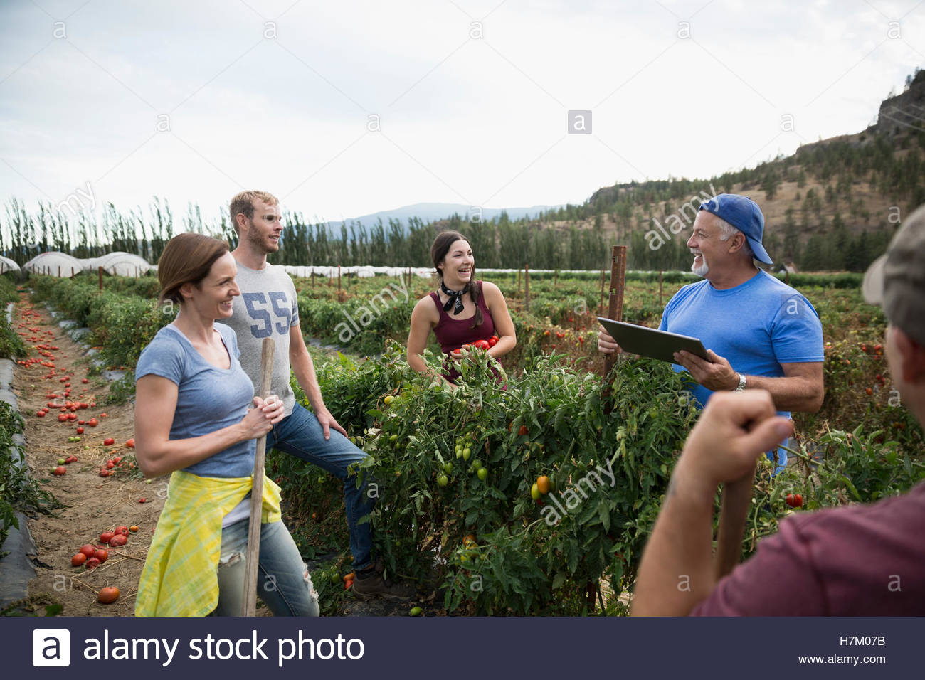 Crop planning hi-res stock photography and images - Alamy