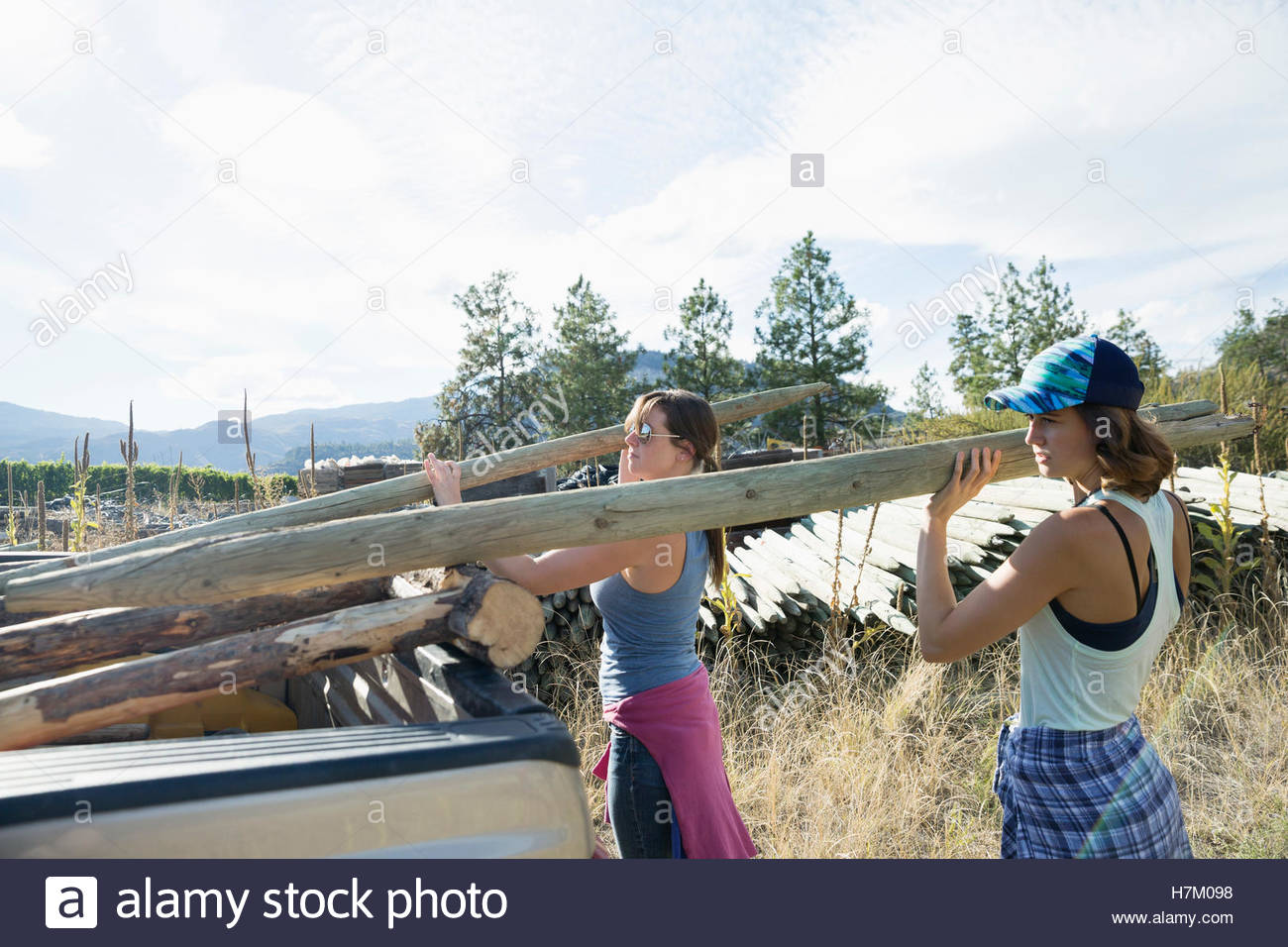 Wooden or timber fence posts hi-res stock photography and images - Alamy