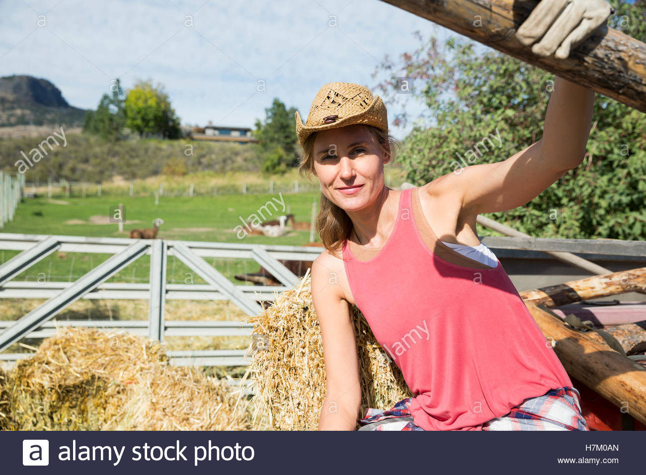 Portrait confident female farmer on sunny farm Stock Photo - Alamy Portrait confident female farmer on sunny farm Stock Photo - Alamy