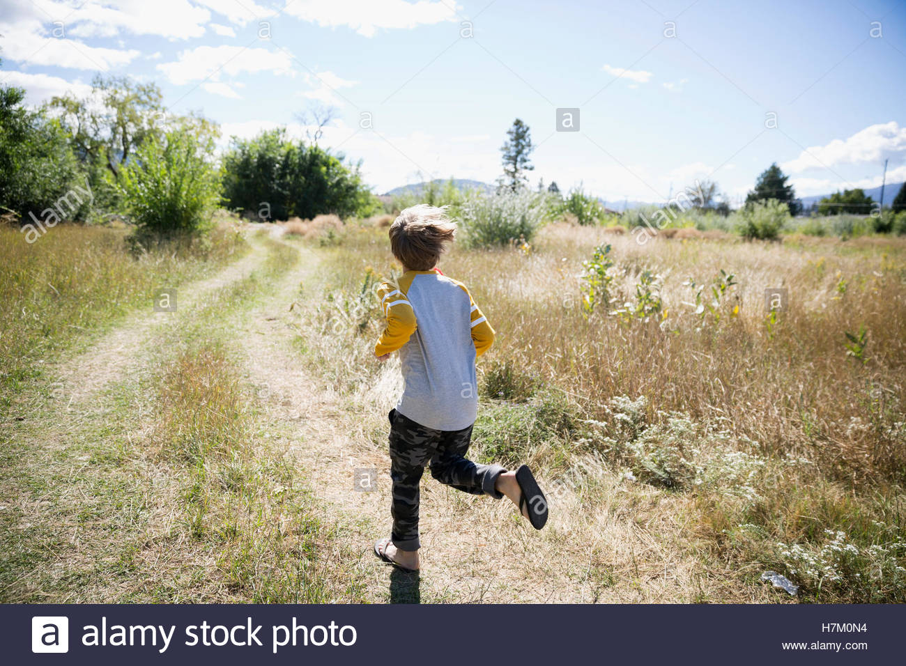 Boys running in field hi-res stock photography and images - Alamy