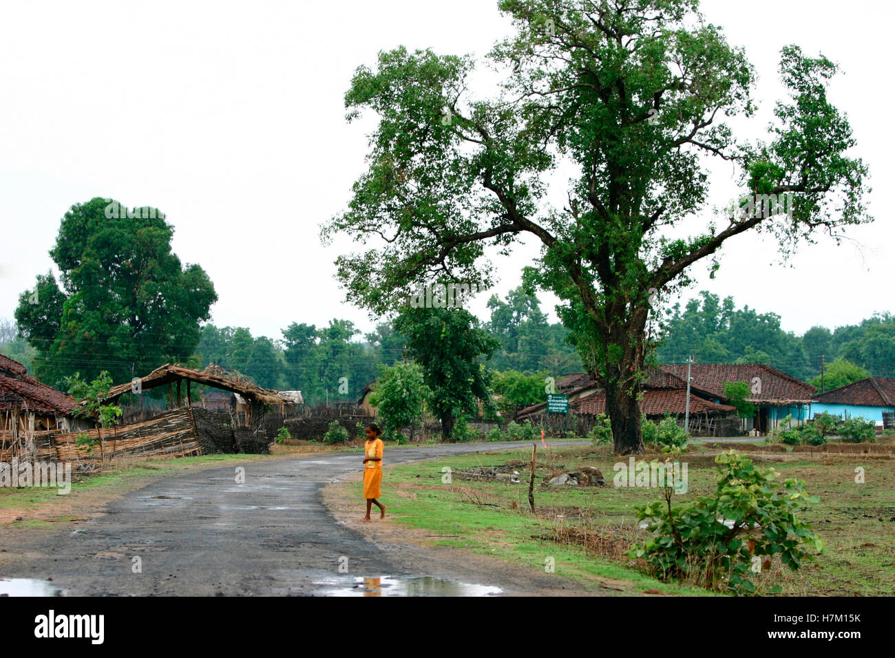 Khatia hi-res stock photography and images - Alamy