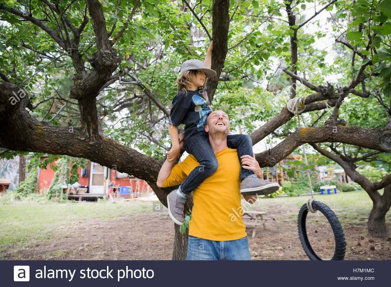 Child climbing tree father hi-res stock photography and images - Alamy