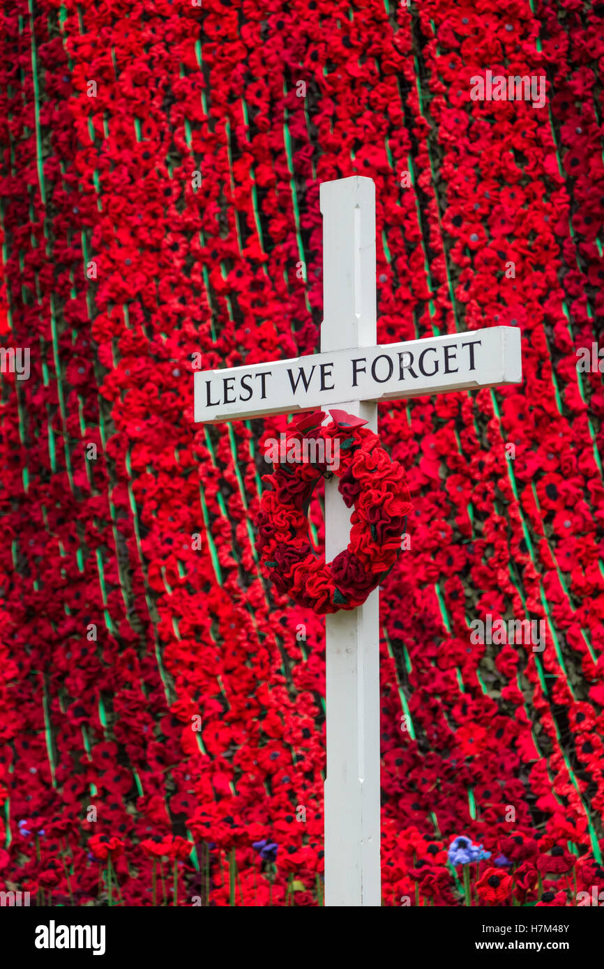 Remembrance day poppy cascade hi-res stock photography and images - Alamy