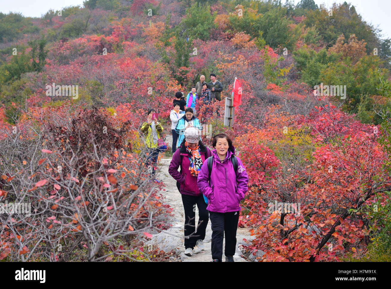 Zhengzhou, China. 6th Nov, 2016. Zhengzhou, CHINA-November 6 2016 ...