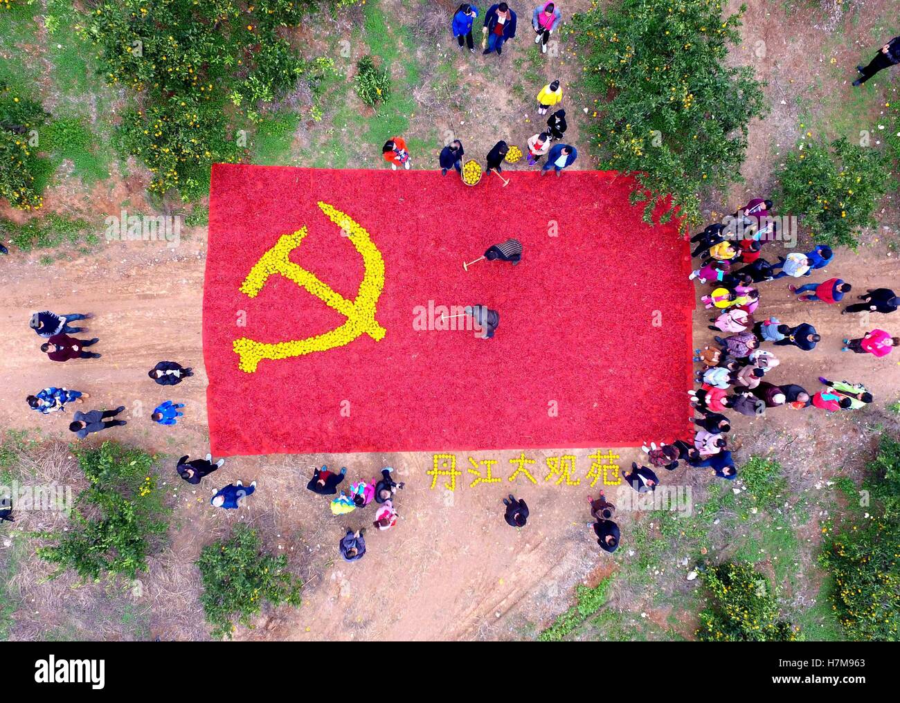 Nanyang, China. 6th Nov, 2016. Nanyang, CHINA-November 6 2016 ...