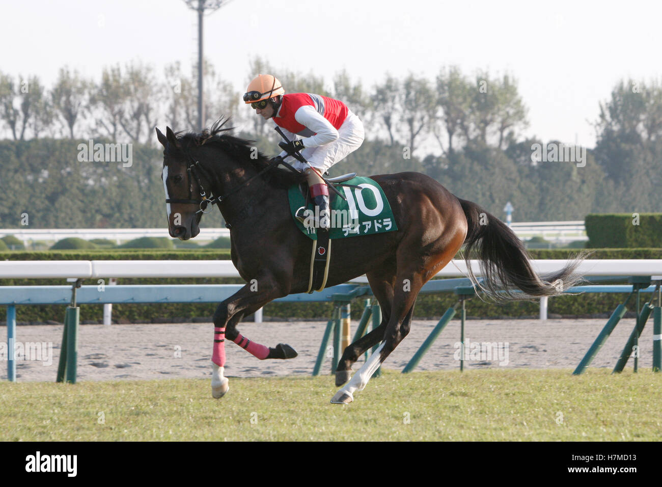 Kyoto, Japan. 5th Nov, 2016. Deirdre ( Mirco Demuro) Horse Racing ...