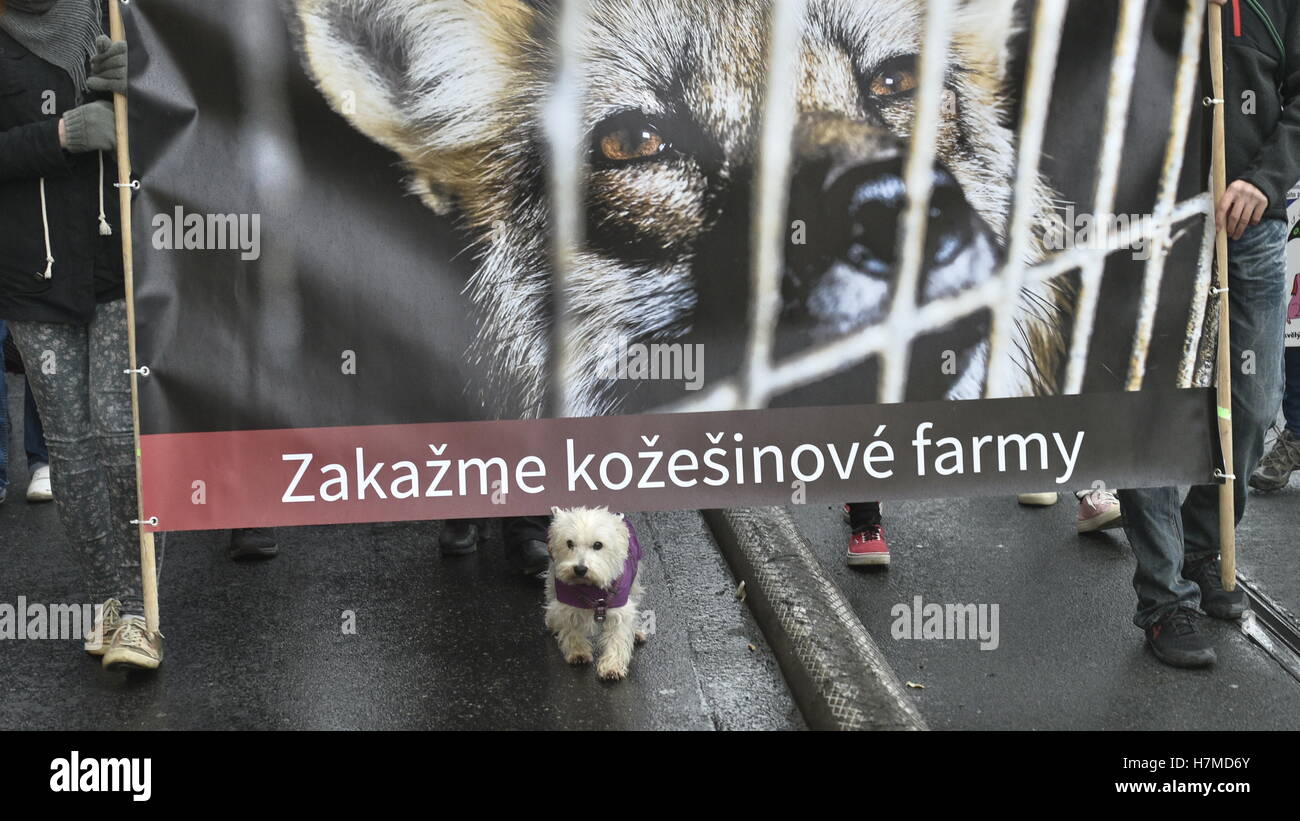 Several hundred activists, wearing animal costumes, participated in a ...