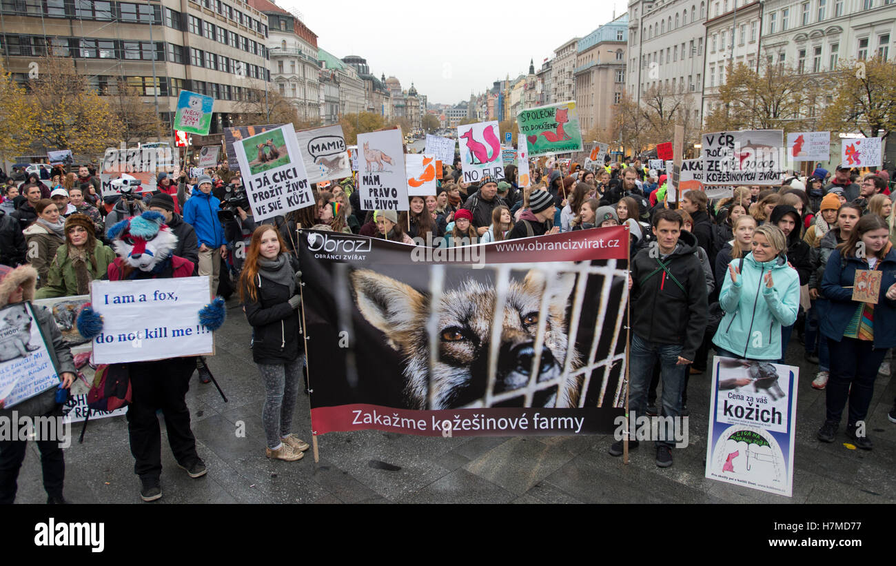 Several hundred activists, wearing animal costumes, participated in a ...