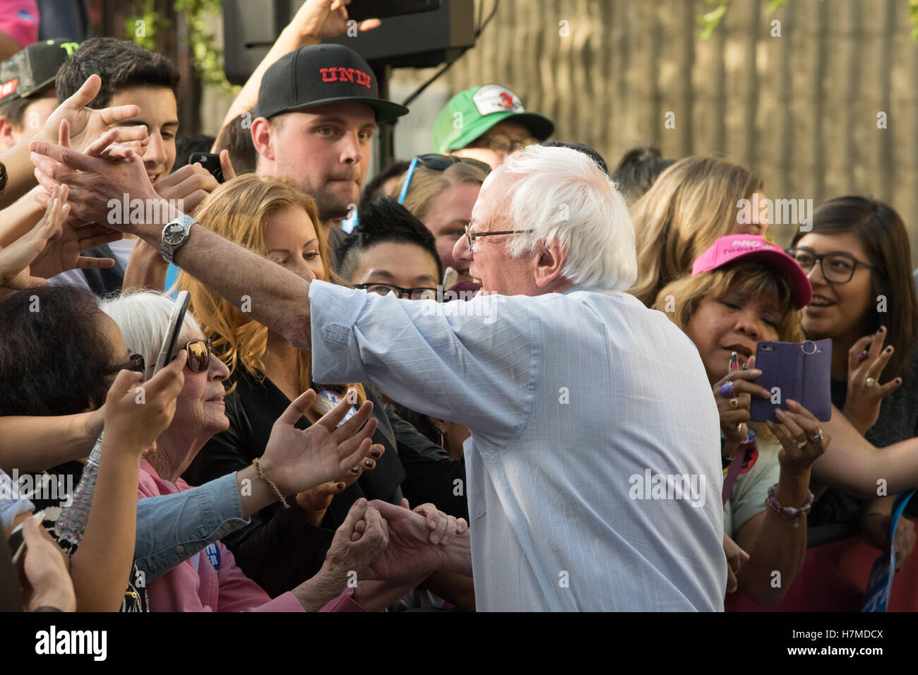 Senator Bernie Sanders greets the crowd after a GOTV rally on November ...