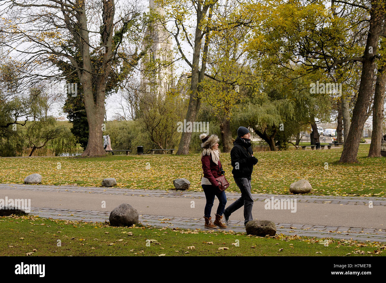 Copenhagen, Denmark. 07th Nov, 2016. Trees and leaves with autumn and ...