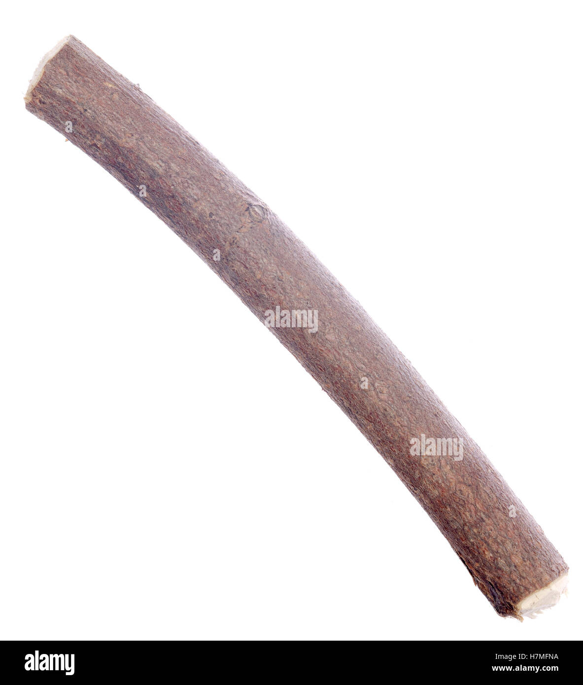 apple twig isolated on white background Stock Photo - Alamy