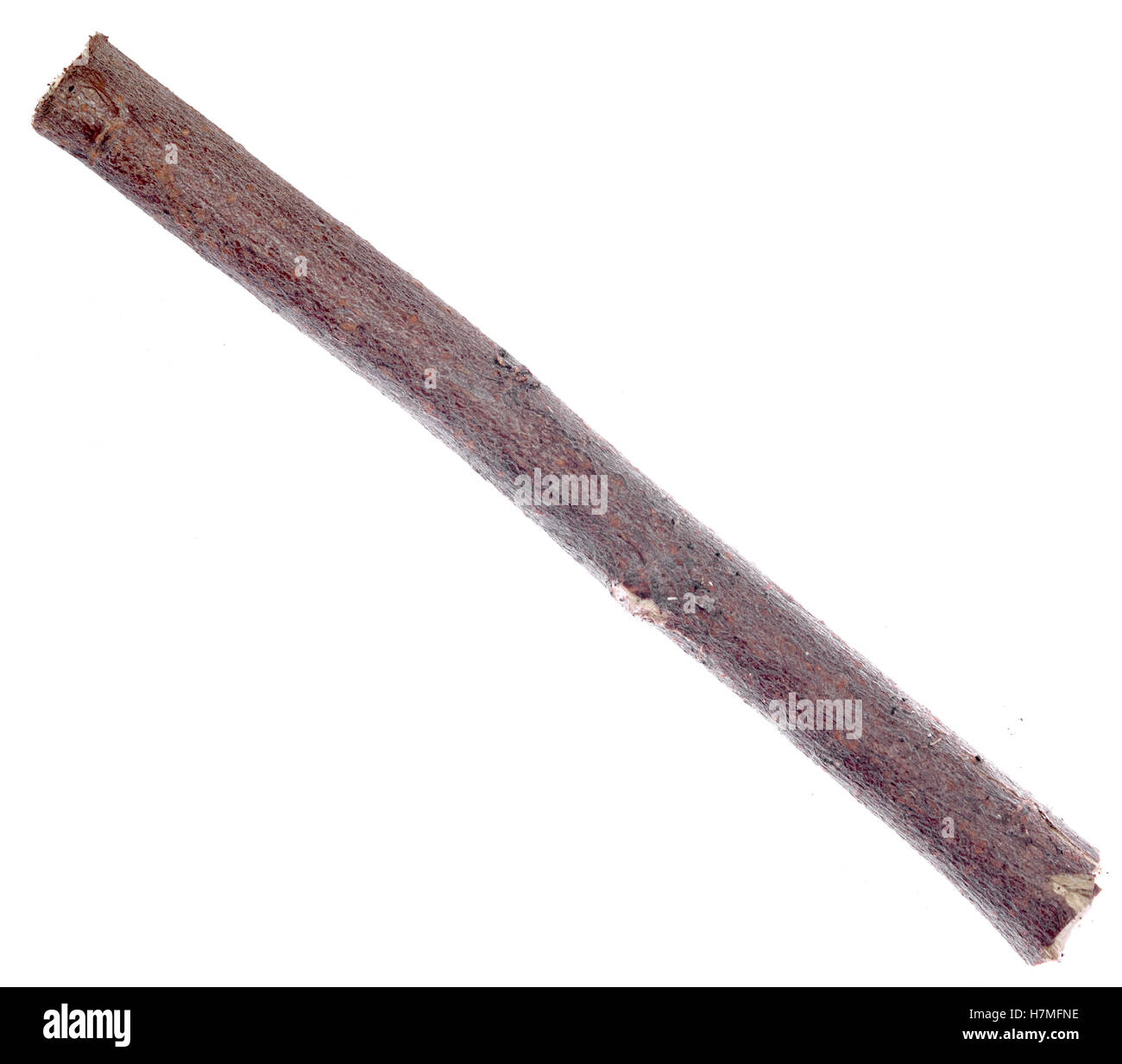 apple twig isolated on white background Stock Photo - Alamy