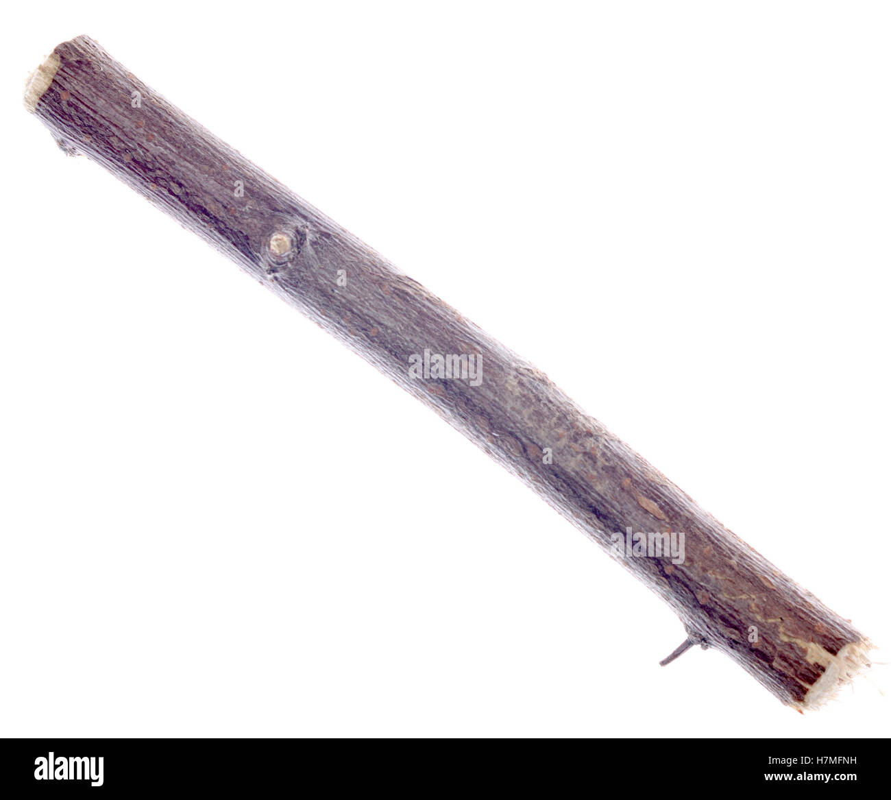 twig isolated on white background Stock Photo - Alamy